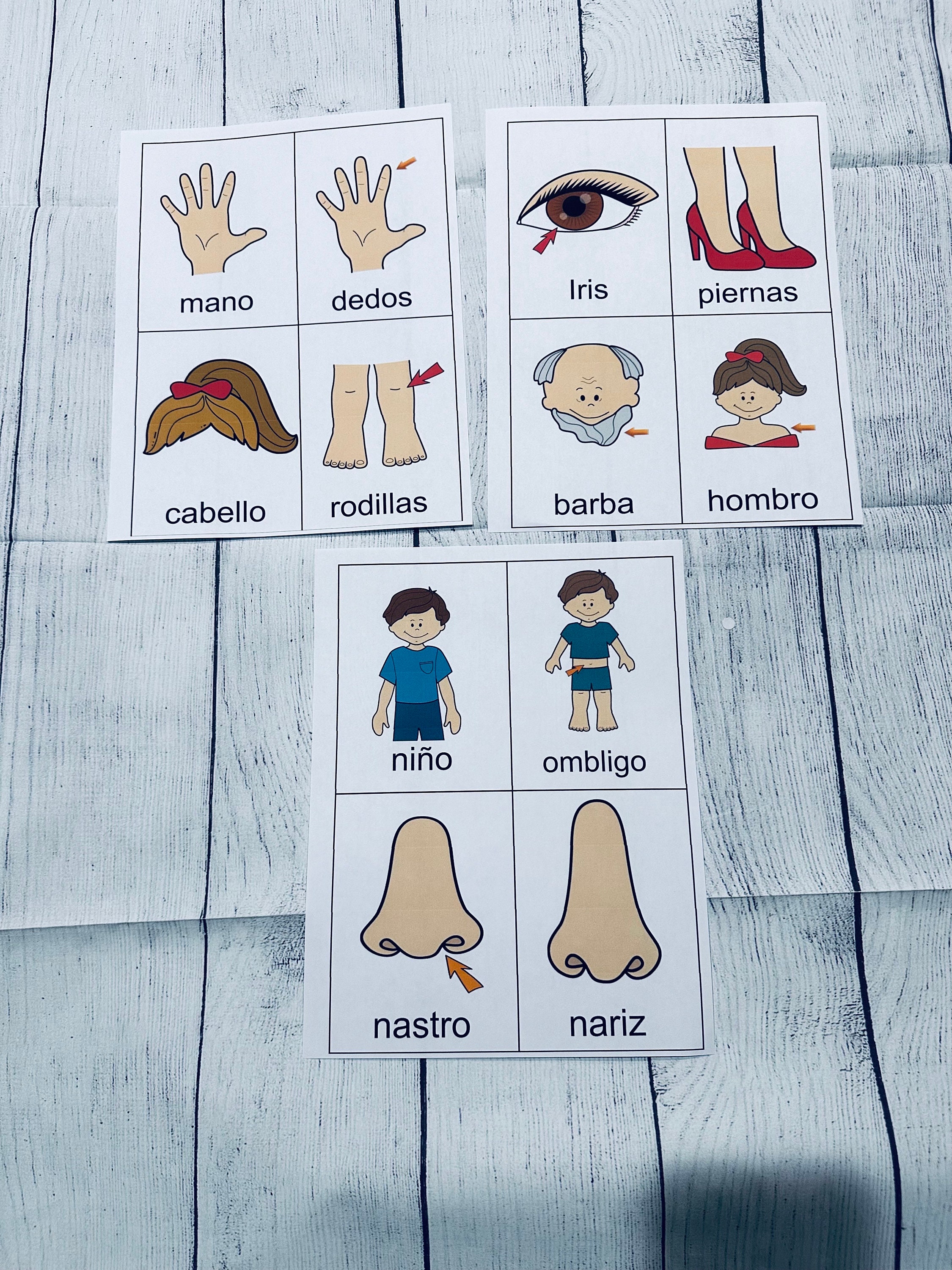 Spanish Learn Human Body Part 40 Large Flash Cards Student Homeschool ...