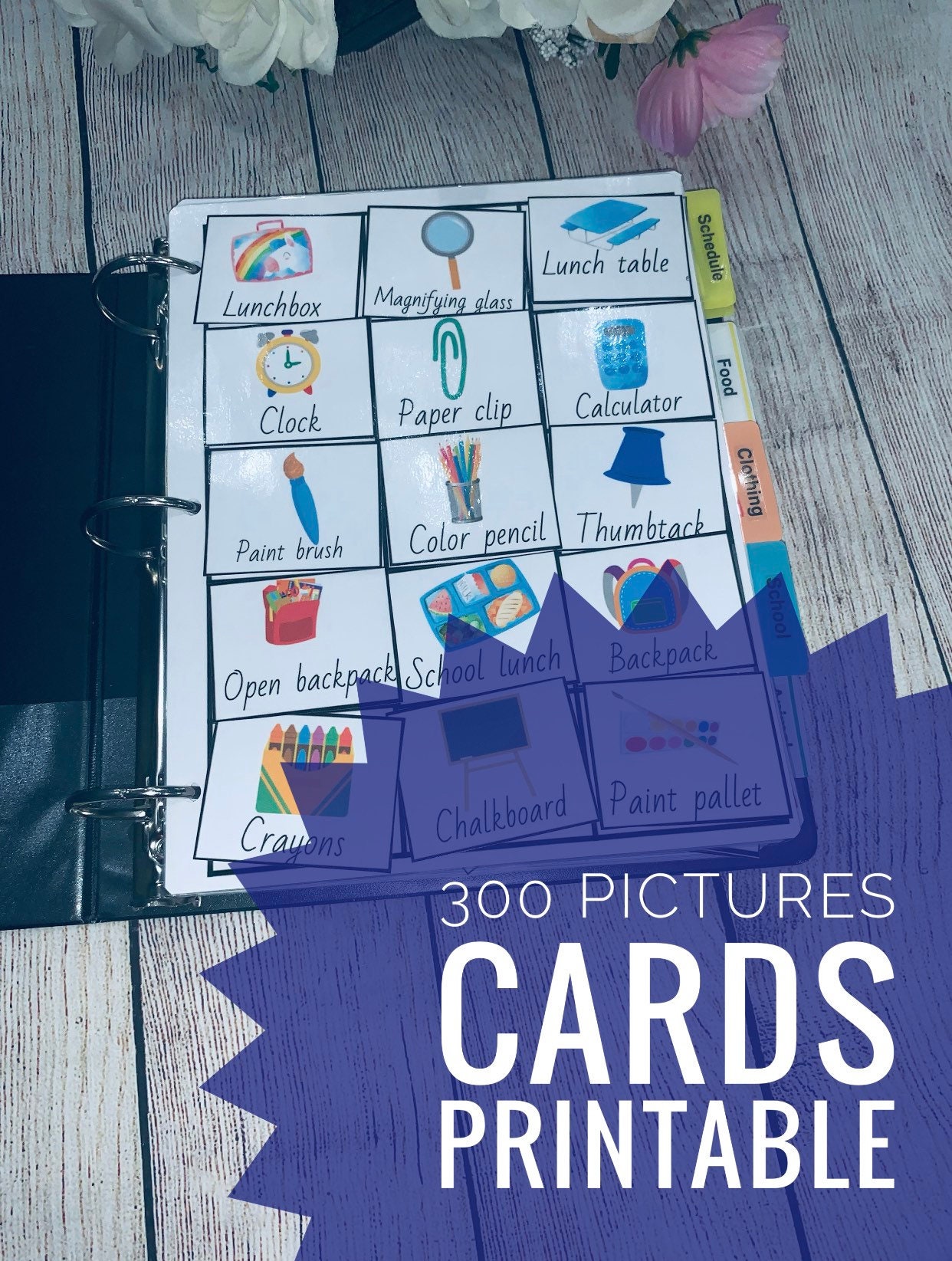 300 Bundle Pictures Card for Communication Speech Therapy, Autism Non ...