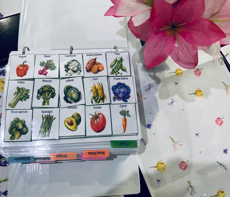 300 Communication Picture Cards | PEC for Speech Therapy, Autism ...