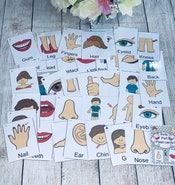 Face and Body Parts Flashcards Printable Download Montessori Style Set ...
