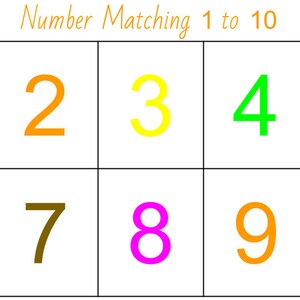 Preschool Montessori Kids Busy Work, Dog Paws Matching Interactive ...