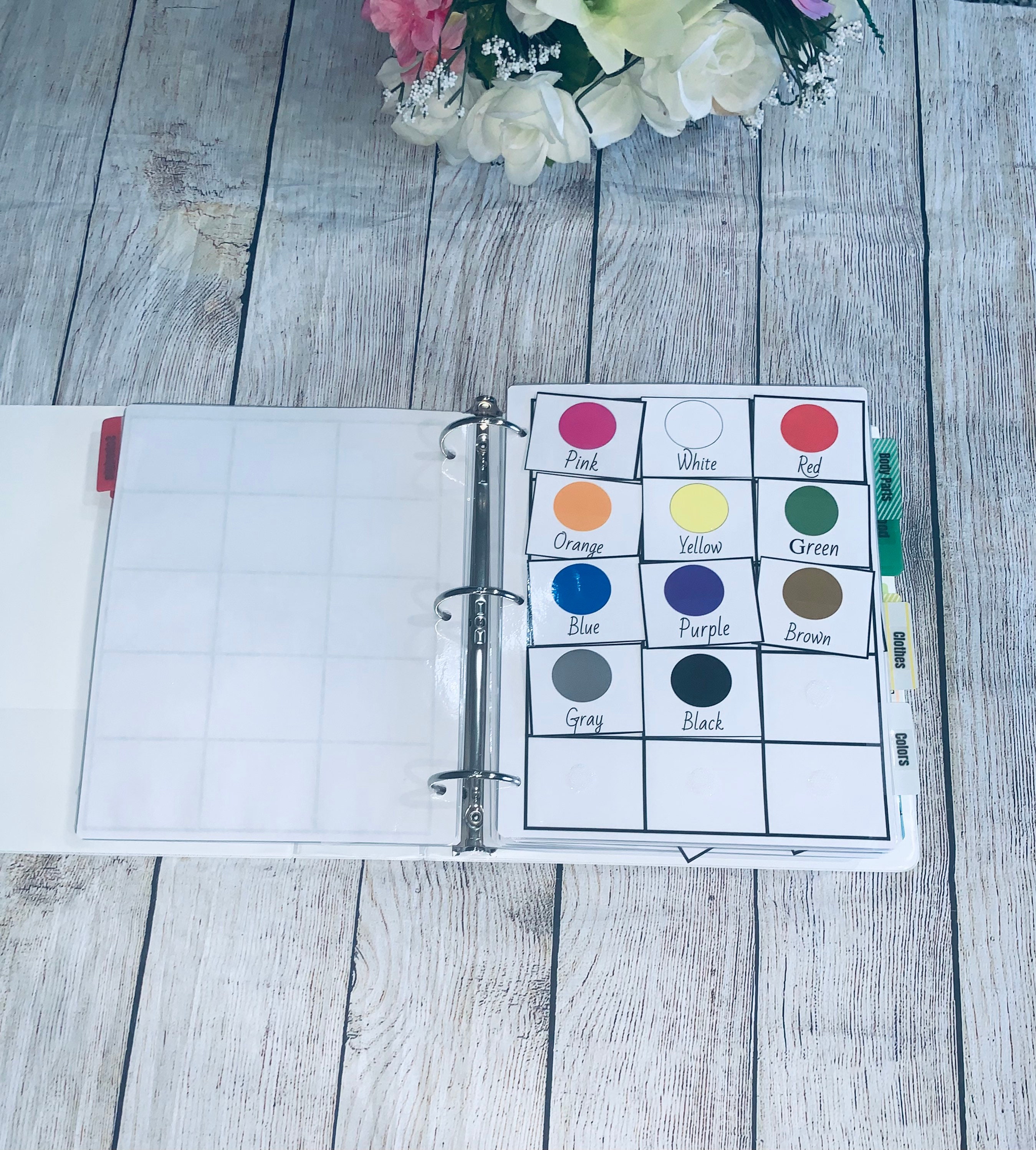 300 Bundle Pack Pictures Cards for Communication Sentence Book, Travel ...