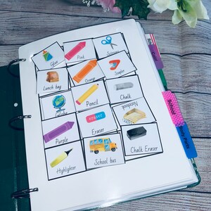 300 Bundle Pack Pictures Cards for Communication Sentence Book, Travel ...