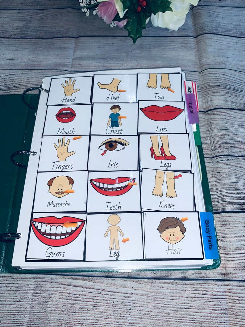 Pictures Card Binder Kit Pictures Cards Speech Therapy OT - Etsy