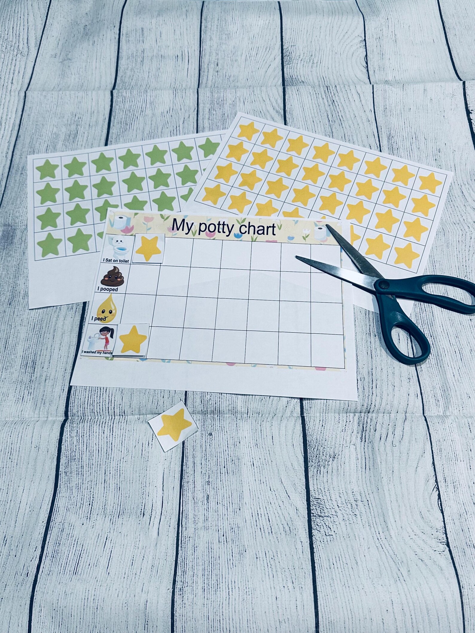 Flowers Potty Training Girls, Potty Chart, Potty Token, Potty Training ...