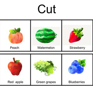 Toddler, Preschool Busy Work, Fruits Sorting Matching , Montessori ...