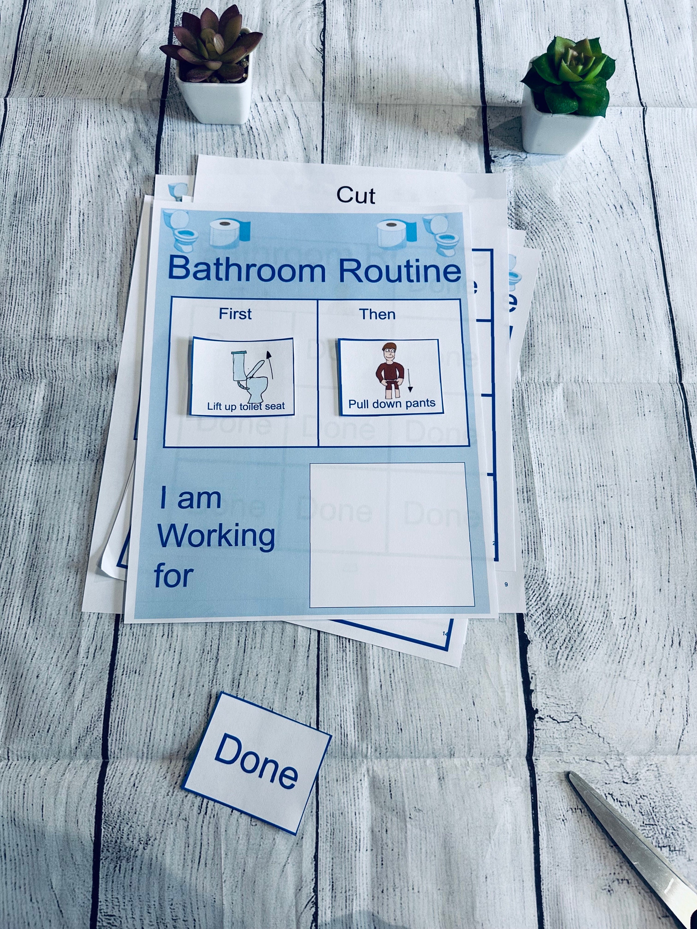 Thomas Blue Bathroom Routine, Schedule Potty Training, Reward Chart ...