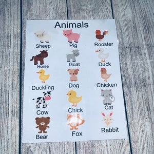 Shapes, Colors, Animal 6 Poster Wall Art Laminated, Montessori ...