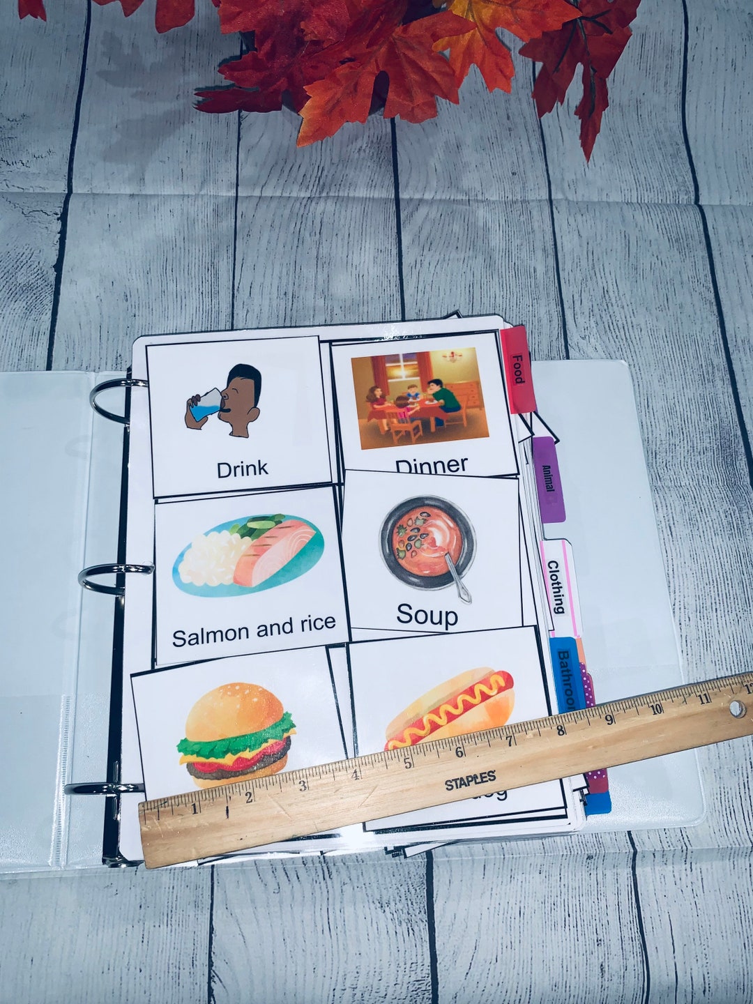 Pictures Cards for Communication, Speech Delays Therapy, OT Therapy ...