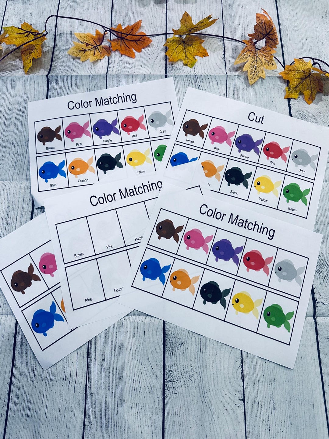 Toddler, Preschool Busy Work, Colors Fish Sorting, Montessori, Morning ...