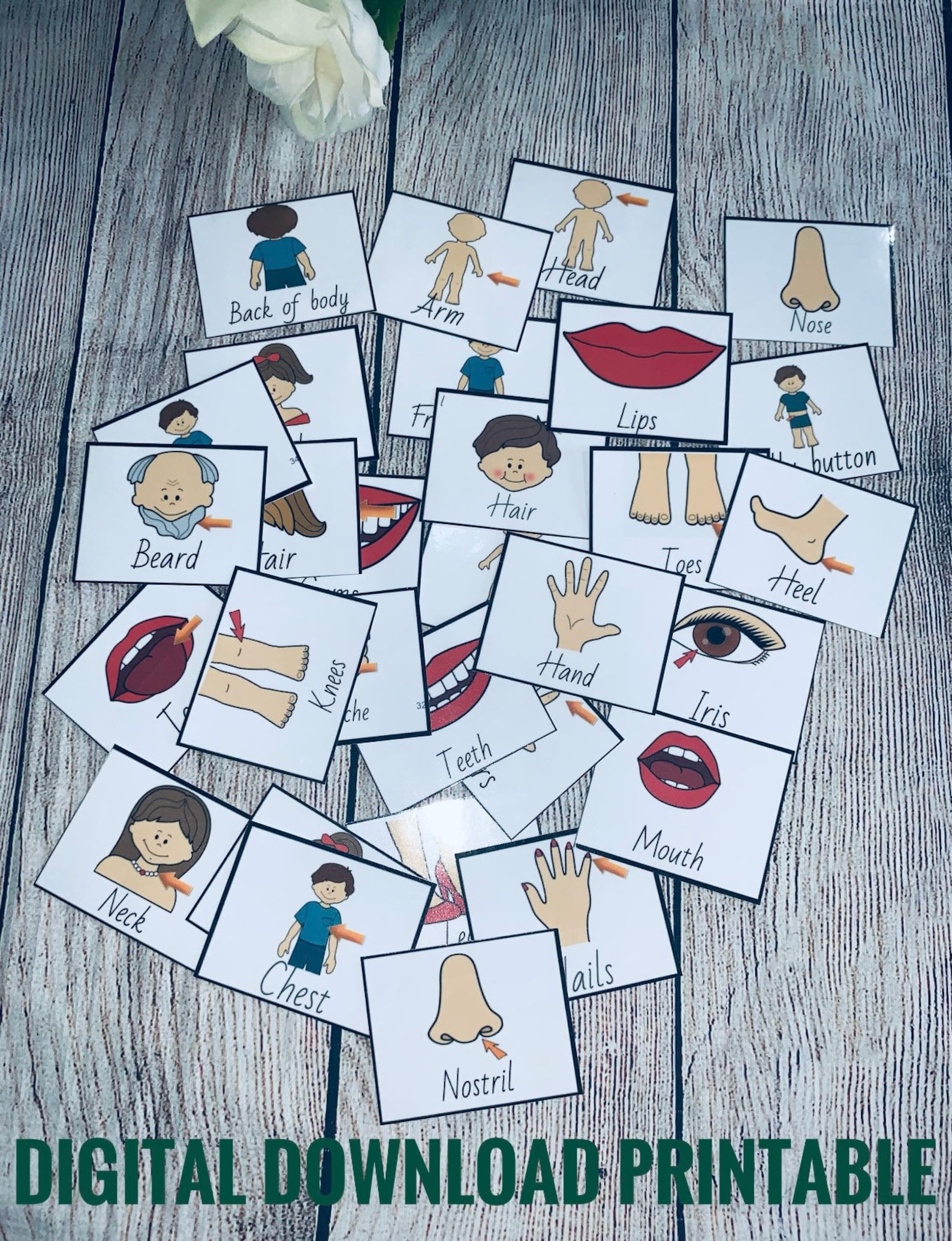 45 Loose Cards Feelings, Emotion and Body Part Pictures Cards for ...