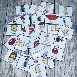 45 Loose Cards Feelings, Emotion and Body Part Pictures Cards for ...