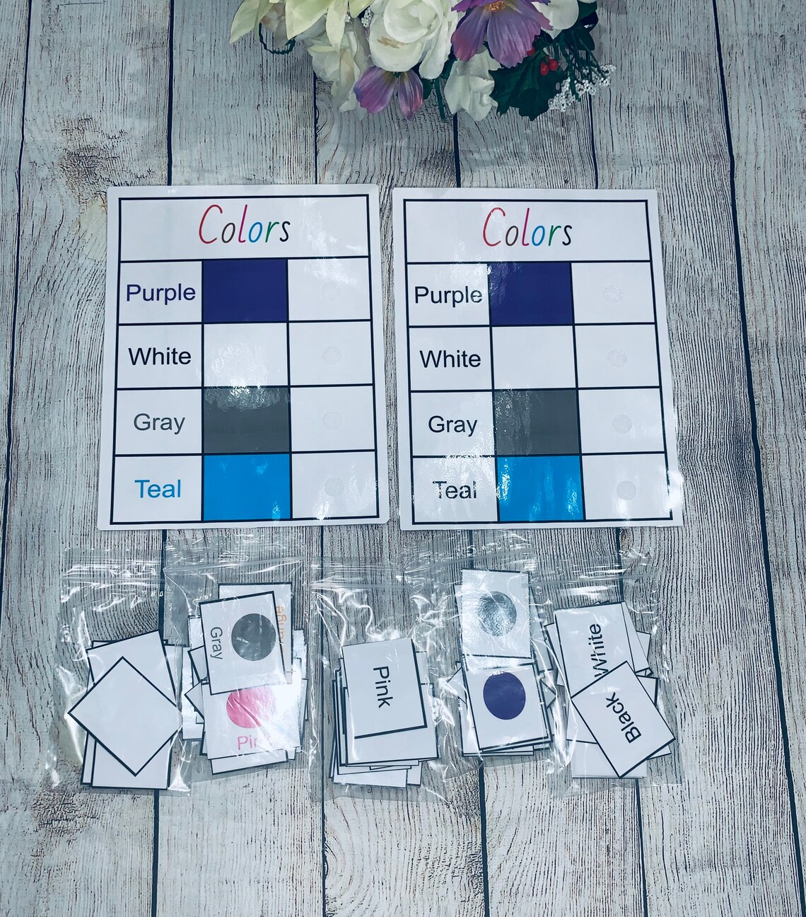 Color Matching Interactive Busy Book Speech Therapy, OT Therapy, DTT ...