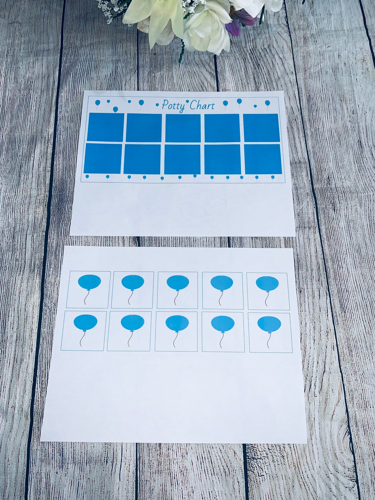 Balloon Teal Potty Training Chart | Blue Potty Reward System for Boys ...