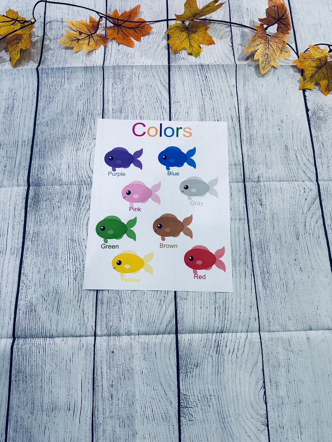 Fish Colors Poster Wall Art Printable, Montessori Classroom Poster ...