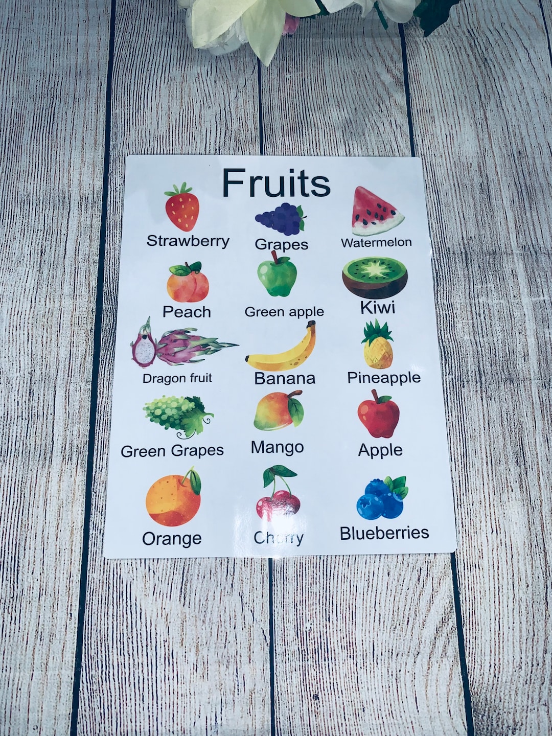 Fruits Poster Wall Art Printable, Montessori Classroom Poster, Learn ...