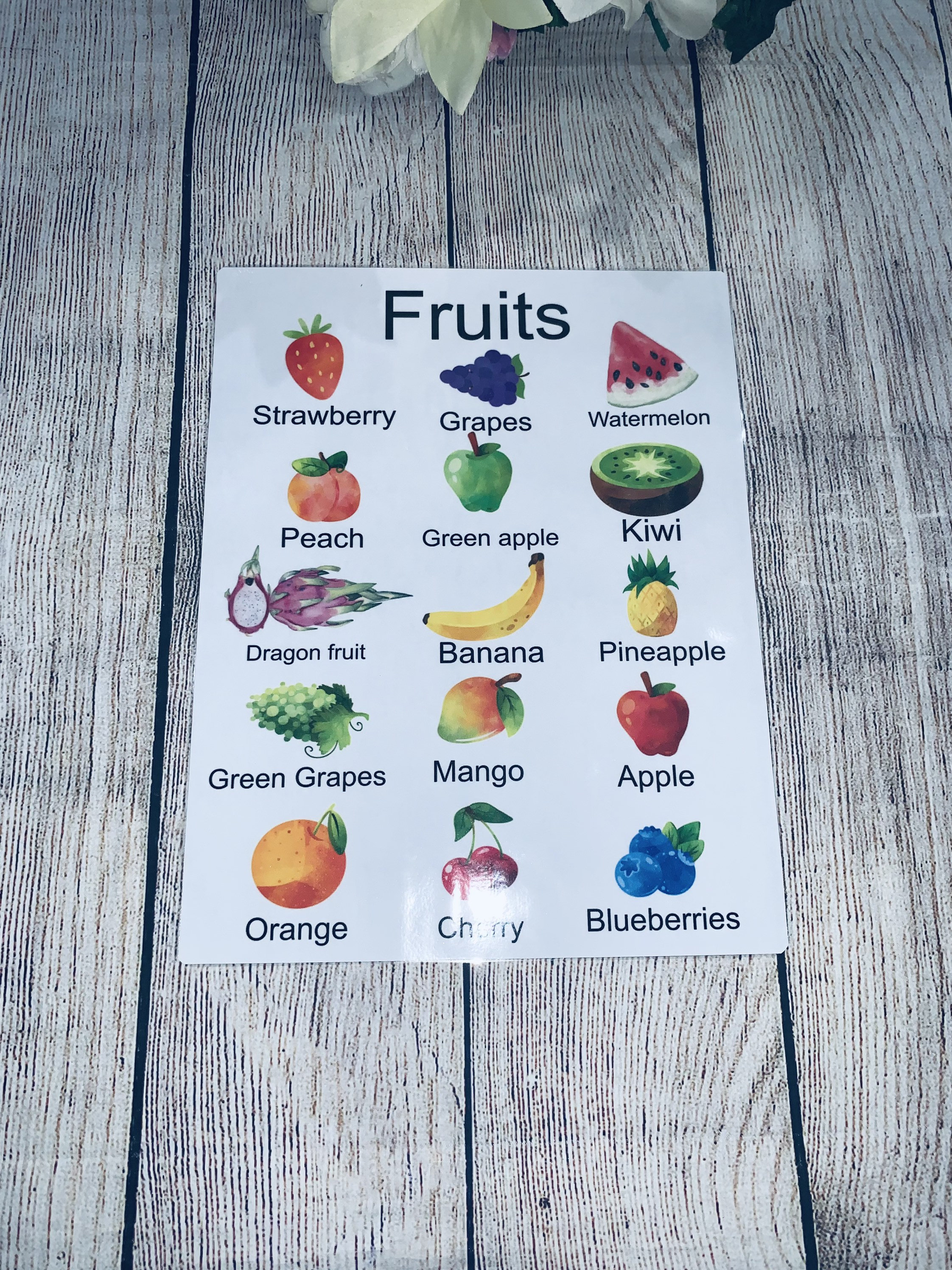 Fruits Poster Wall Art Printable Montessori Classroom Poster - Etsy
