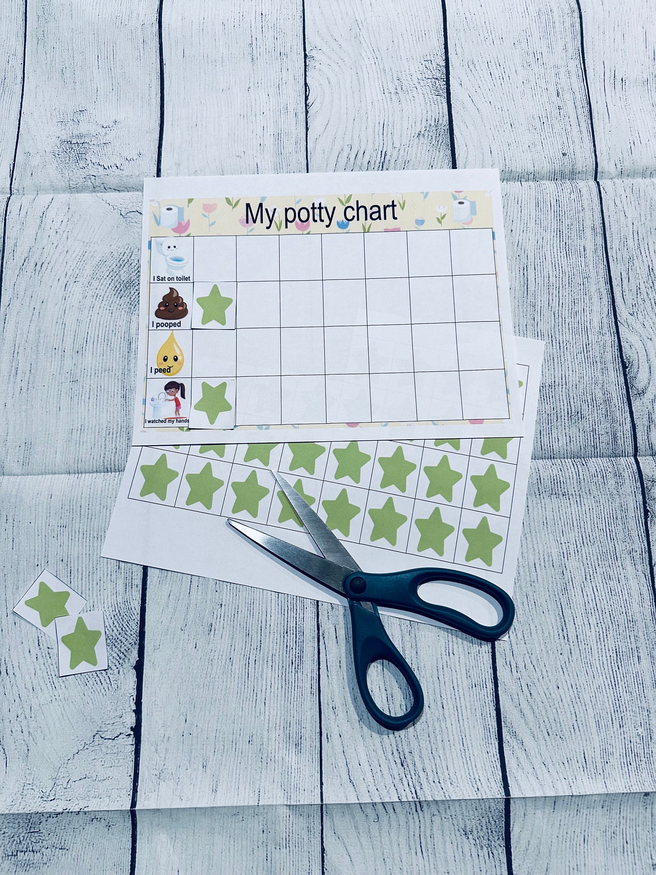 Spring Flowers Potty Training Girls, Potty Chart, Potty Token, Potty ...