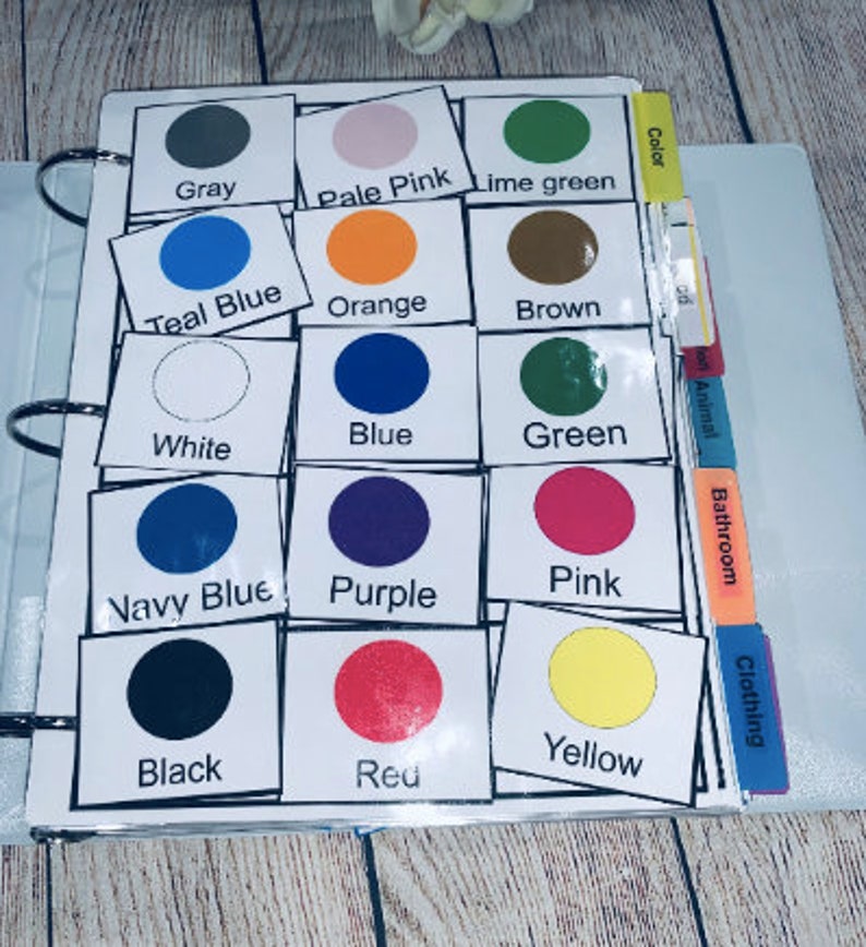 300 Plus Pictures Card for Communication Flash Cards, Speech Therapy ...