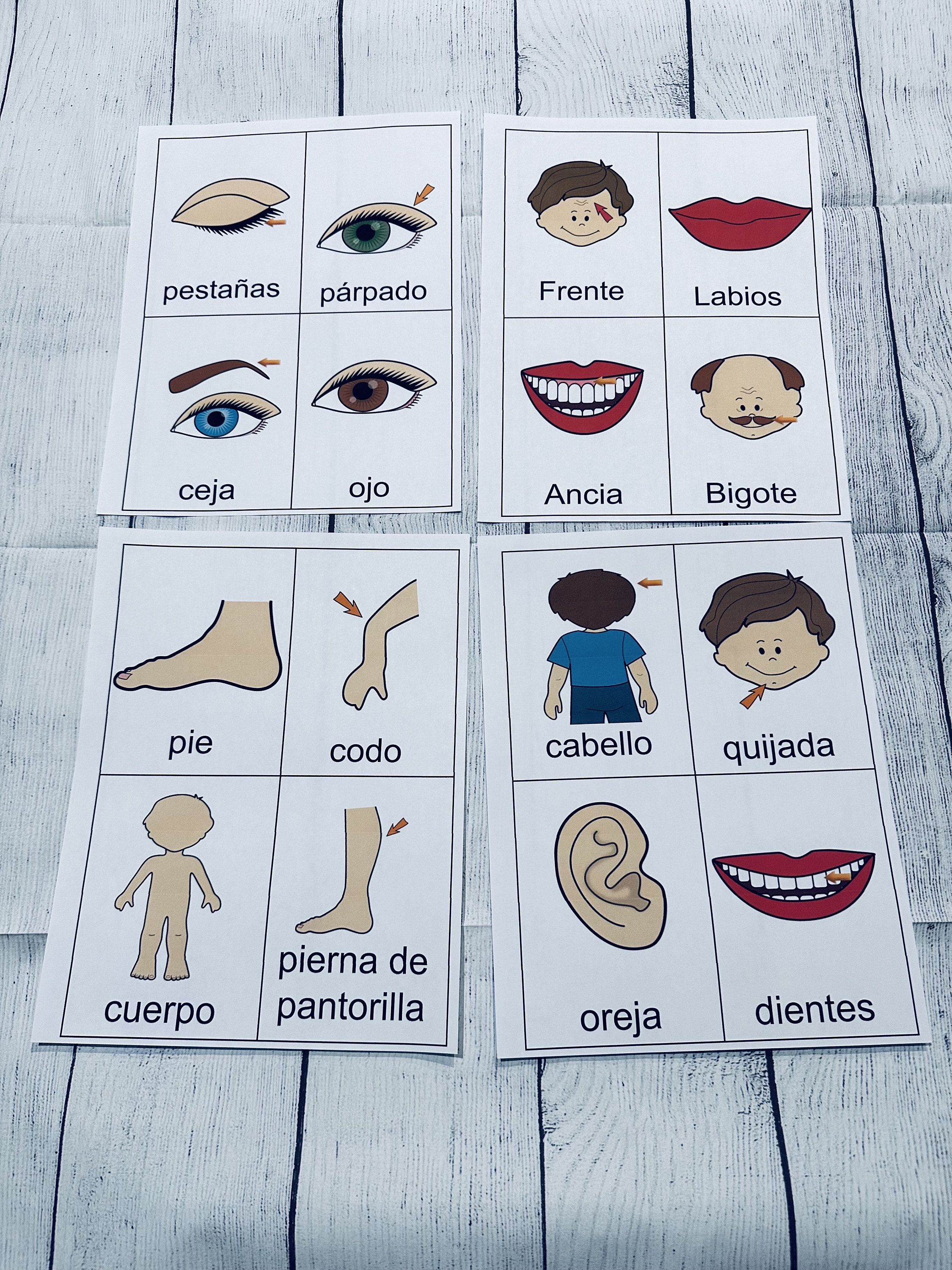 Spanish Body Parts Flashcards Printable Partes Del Cuerpo En Español ...