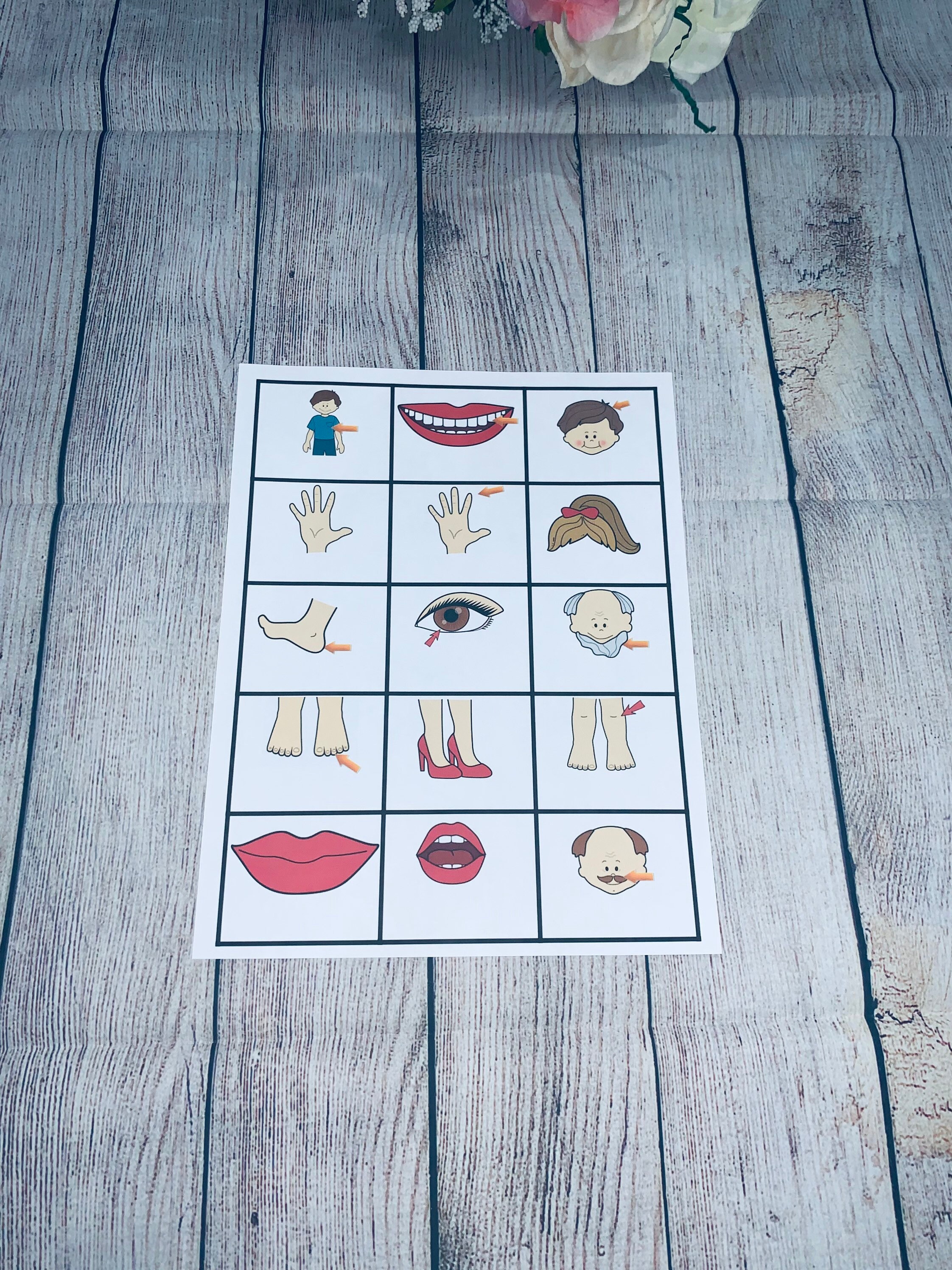 1,300 Large Pictures Blank Card Communication Speech Therapy Autism ...