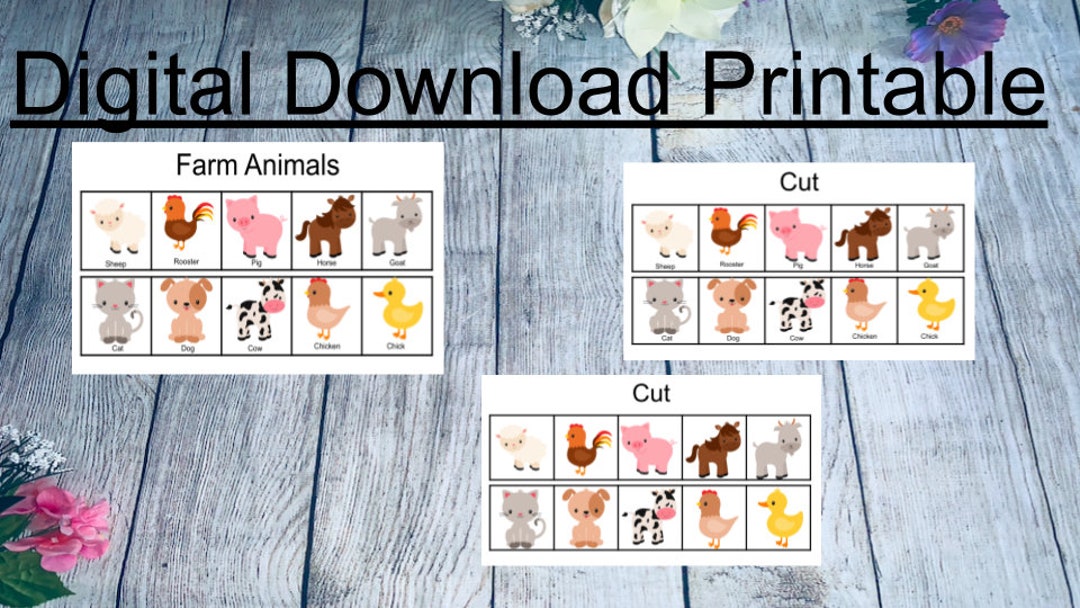 Farm Animal Matching and Sorting Game | Toddler Preschool Busy Work ...