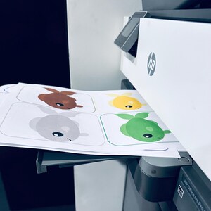 Color Fish Flash Cards, Montessori, Colors Flash Cards, Interactive ...