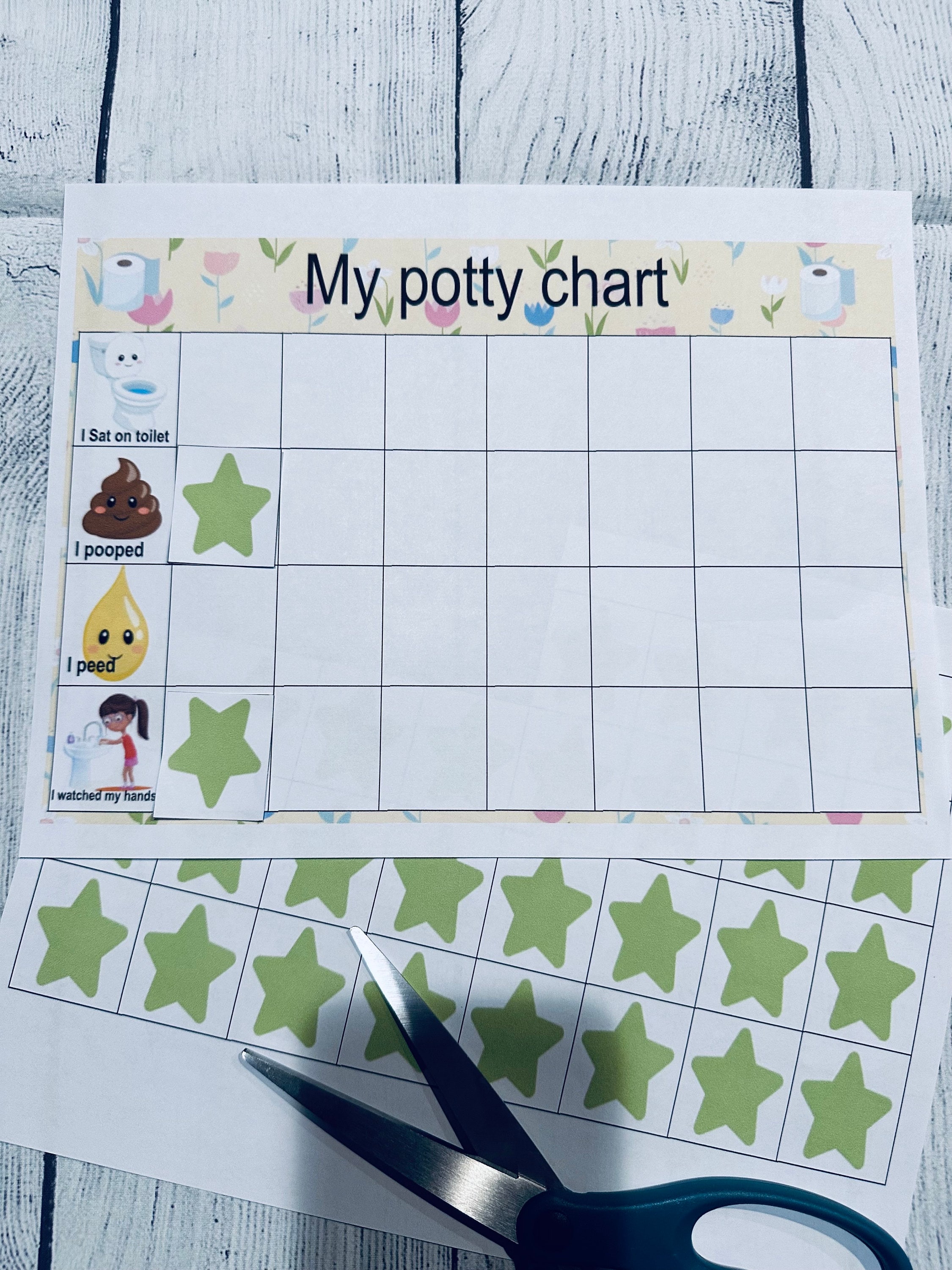 Spring Flowers Potty Training Girls, Potty Chart, Potty Token, Potty ...