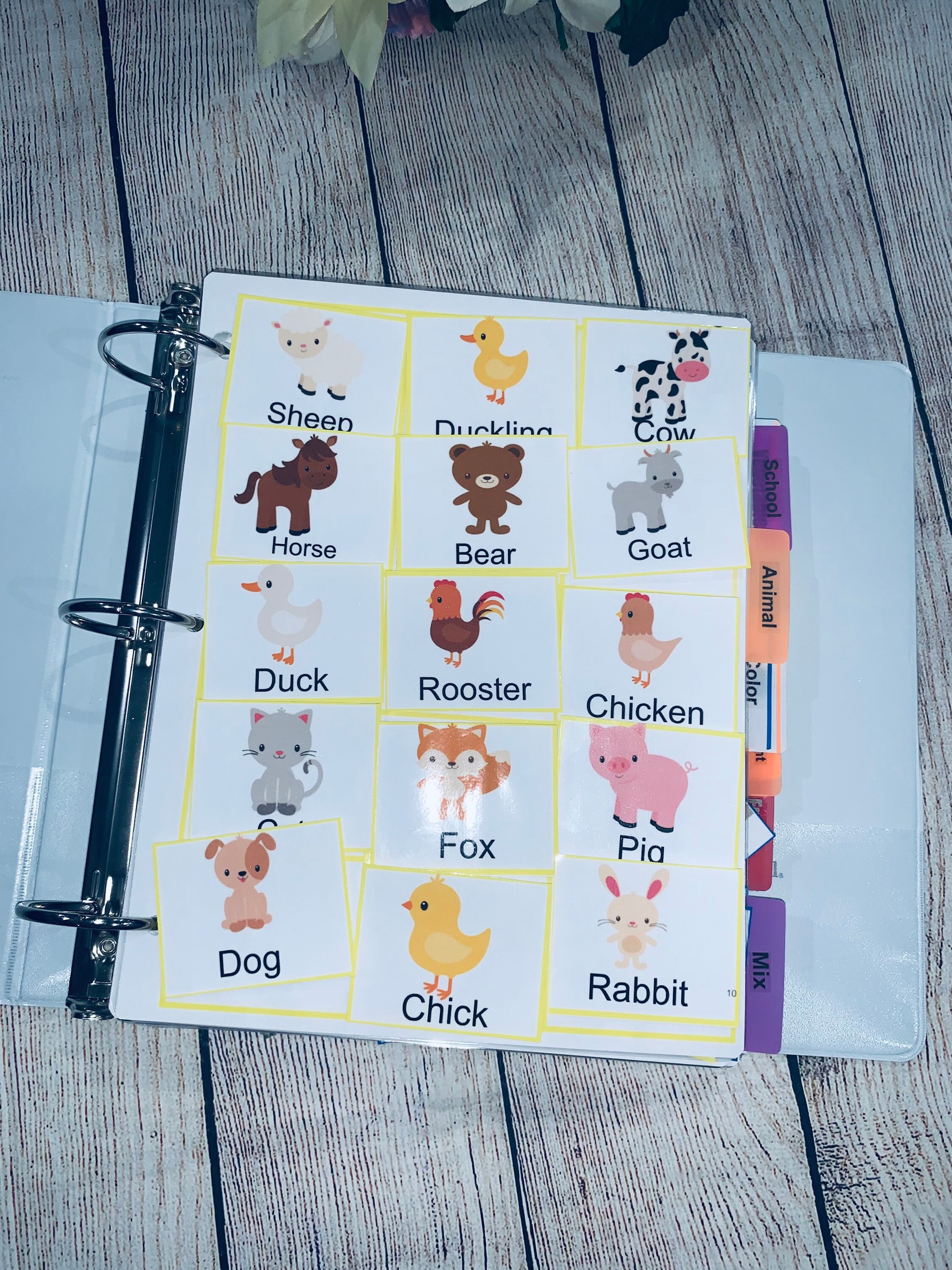 Autism Communication Pictures Cards, Bundle of 300, Speech Therapy, ABA ...