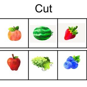 Toddler, Preschool Busy Work, Fruits Sorting Matching , Montessori ...