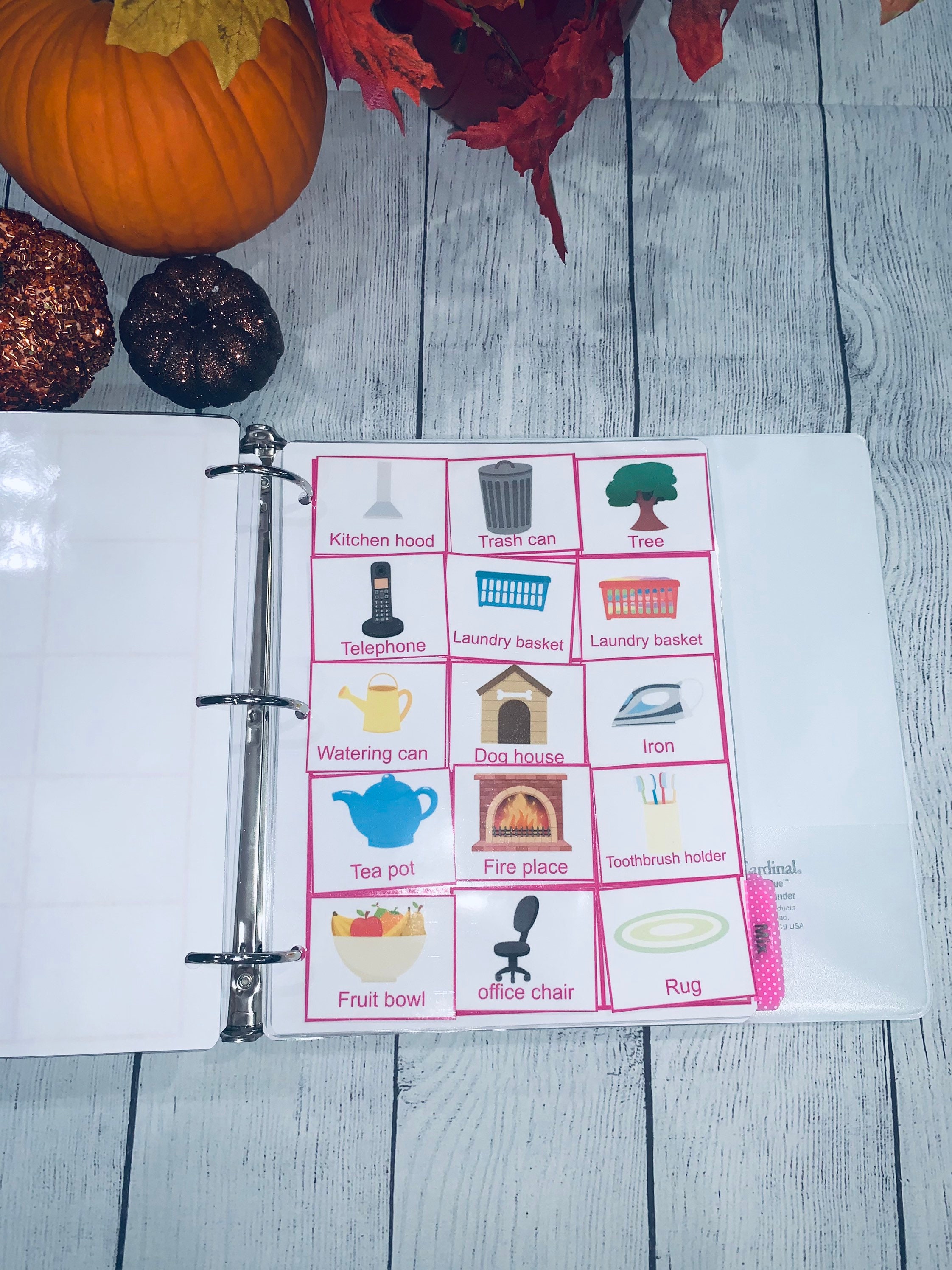 Pictures Card Bundle Speech Therapy, OT, DTT ABA Therapy, Autism Non ...