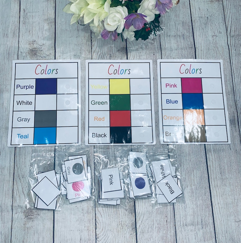 Color Matching Interactive Busy Book Speech Therapy, OT Therapy, DTT ...