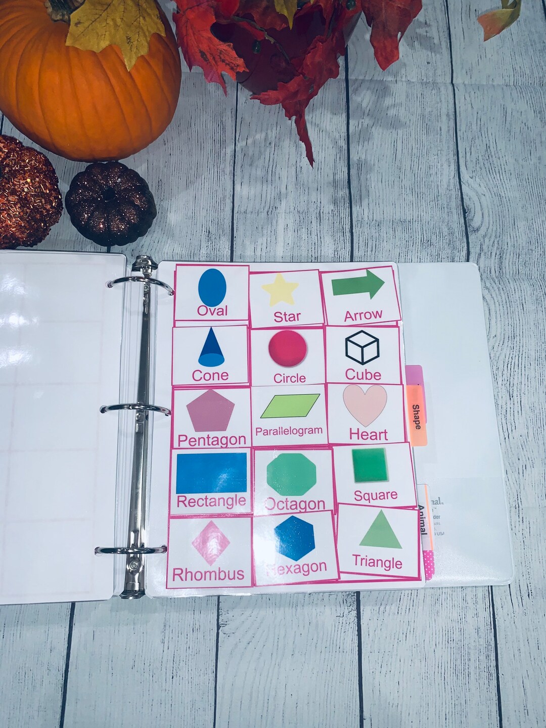 200 Pink Picture Communication Cards for Speech Therapy, Autism, and ...