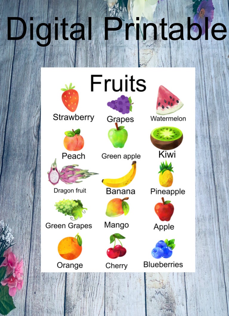 Shapes Colors Animal 6 Poster Wall Art Printable Montessori - Etsy