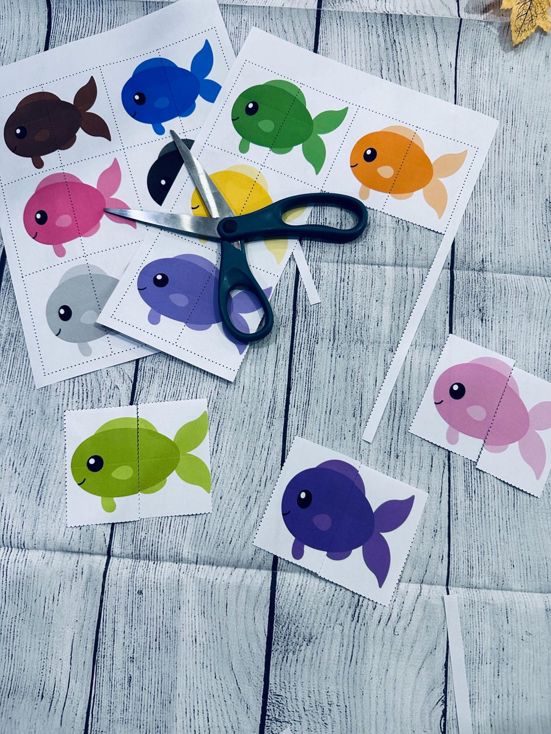 12 Color Fish ,2 Peaces Pictures Matching Activity ,homeschool, Teacher ...