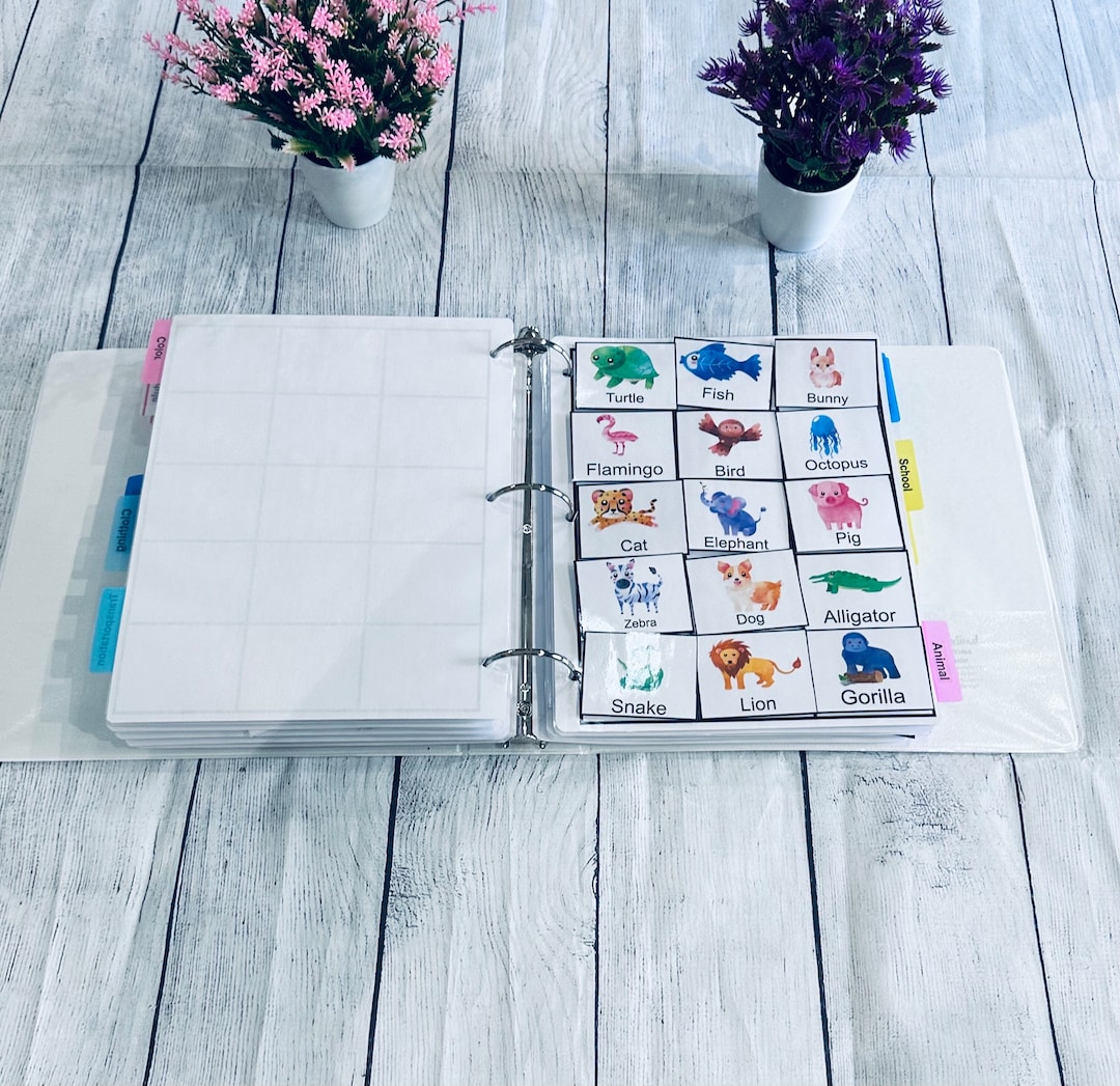 1,000 Autism Communication Pictures Cards Book or Binder Speech ABA ...