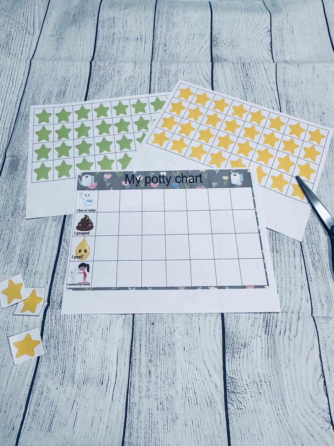 Spring Flowers Potty Training Girls, Potty Chart, Potty Token, Potty ...