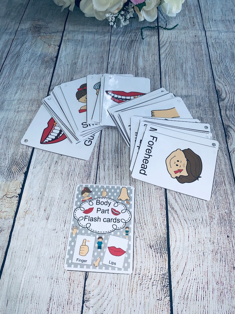 Human Body Part 40 Large Flash Cards, Student Homeschool Activity Kids ...