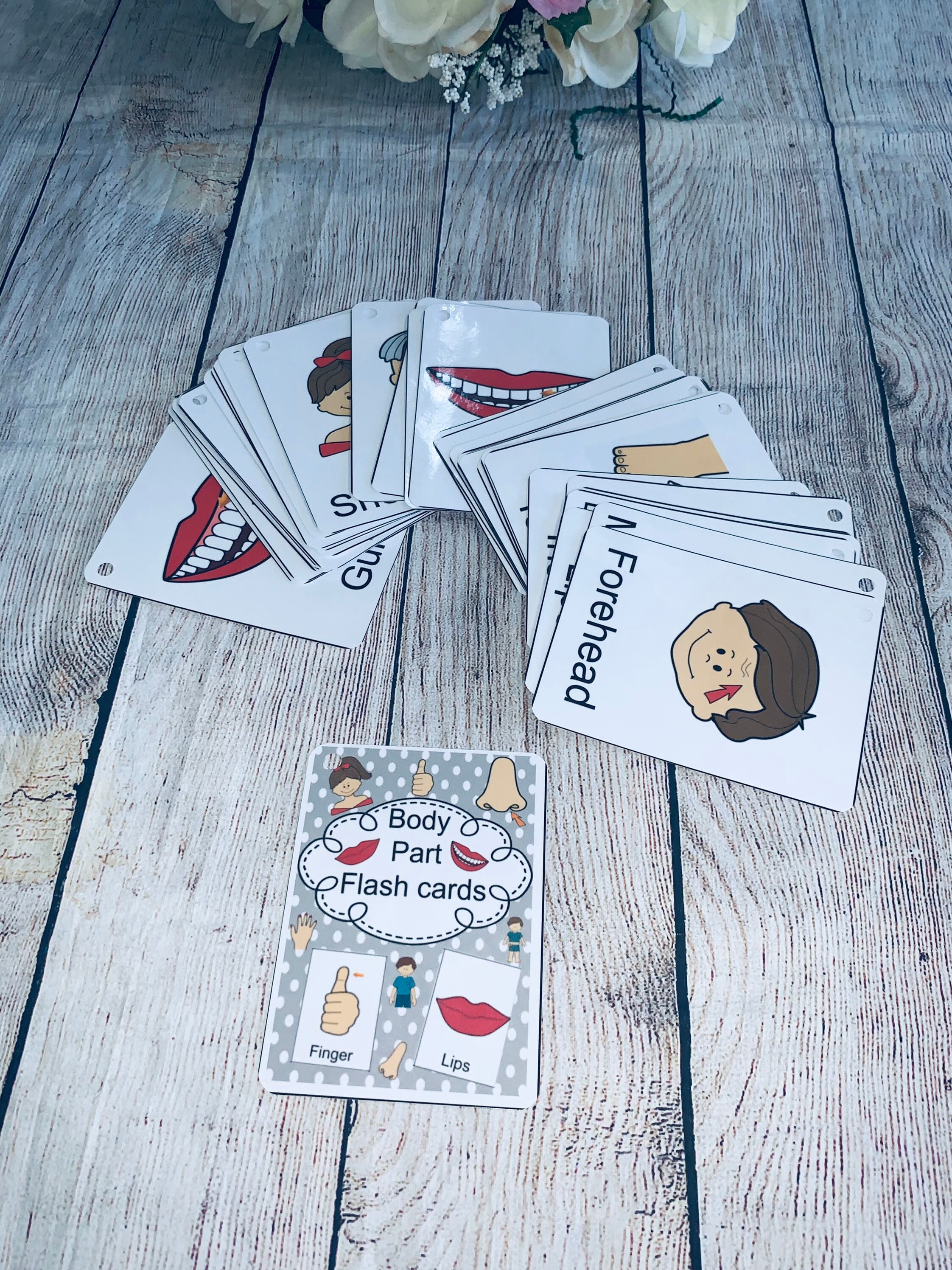 Human Body Part 40 Large Flash Cards, Student Homeschool Activity ...