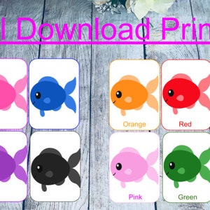 Color Fish Flash Cards, Montessori, Colors Flash Cards, Interactive ...