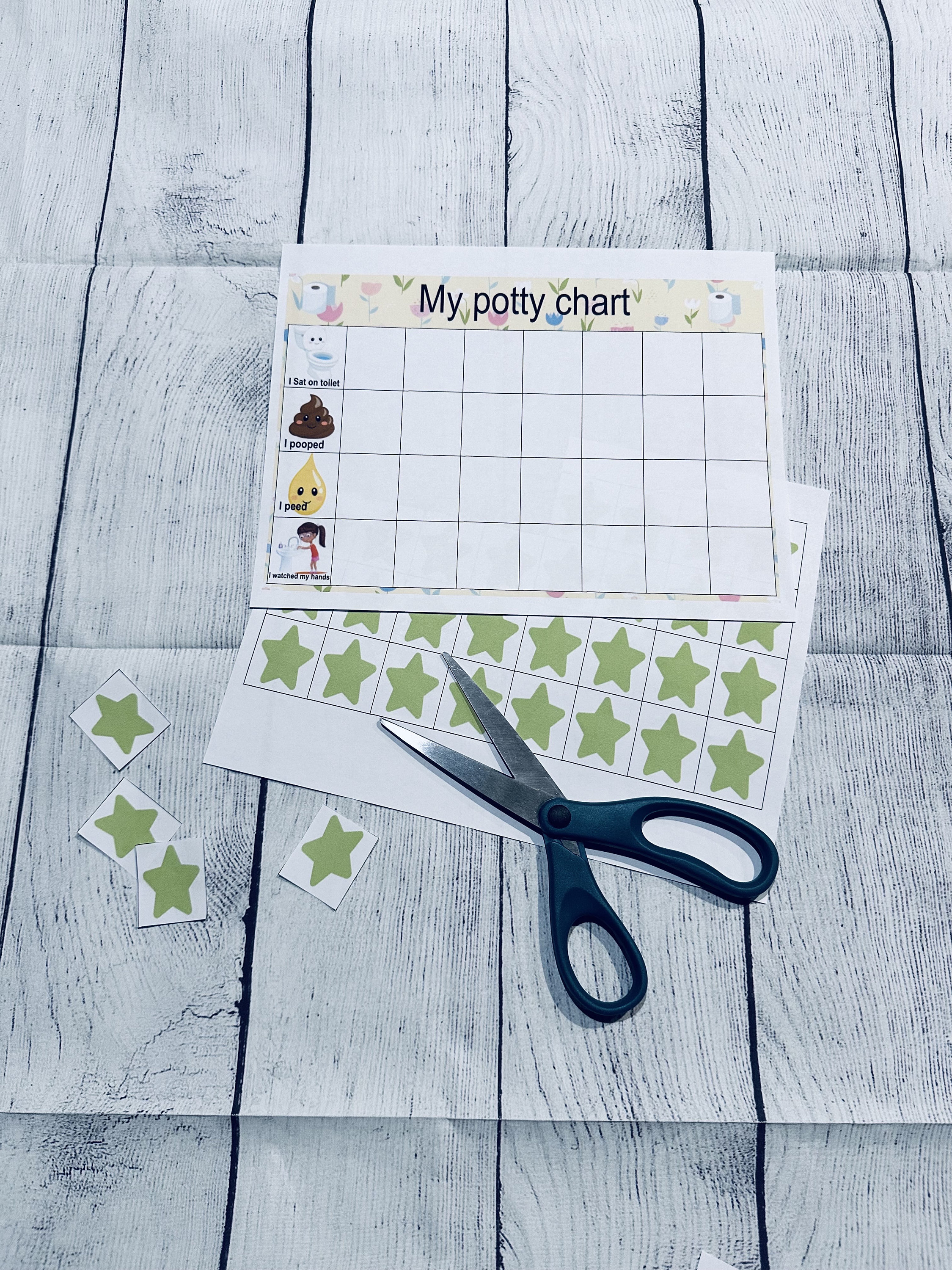 Spring Flowers Potty Training Girls, Potty Chart, Potty Token, Potty ...