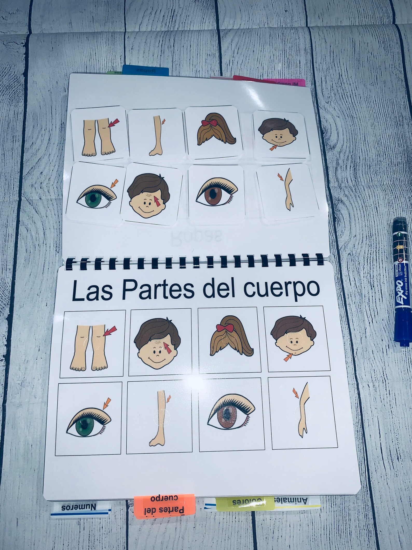 Back to School Teacher Gift Activity Spanish Busy Book - Etsy