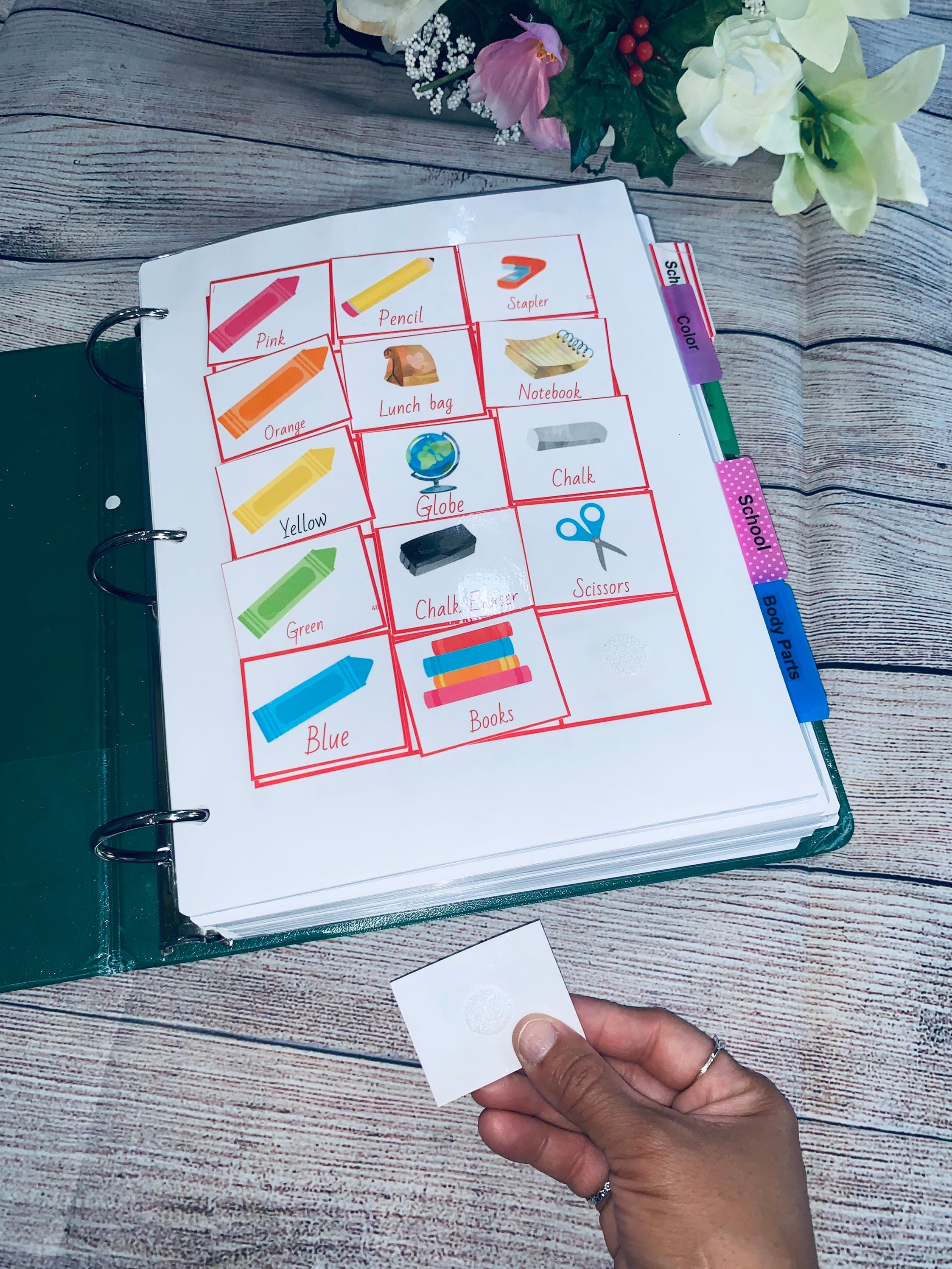 Pictures Cards for Communication Book/binder, Bundle of 210 ...