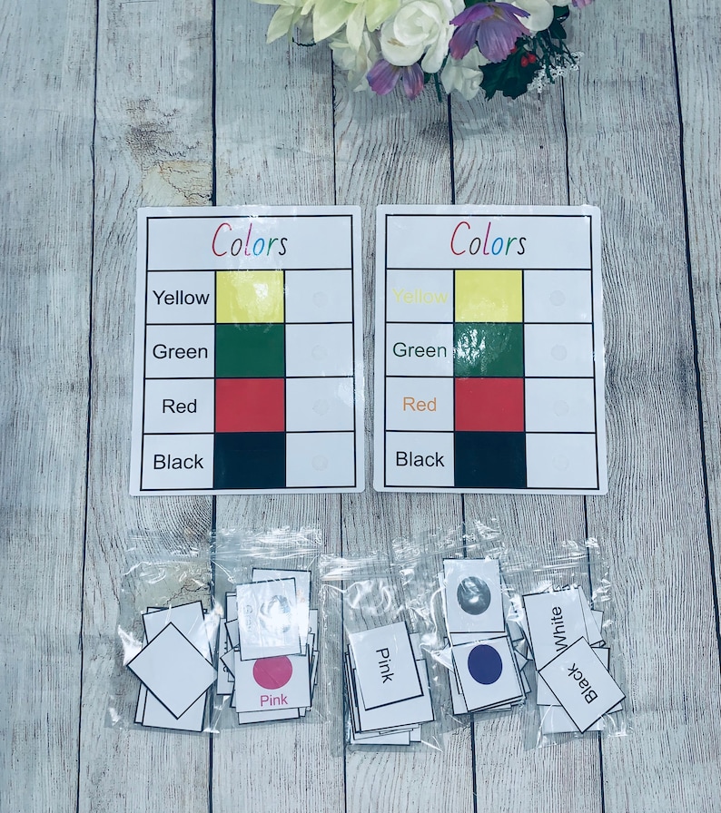 Color Matching Interactive Busy Book Speech Therapy, ABA Therapy DTT ...