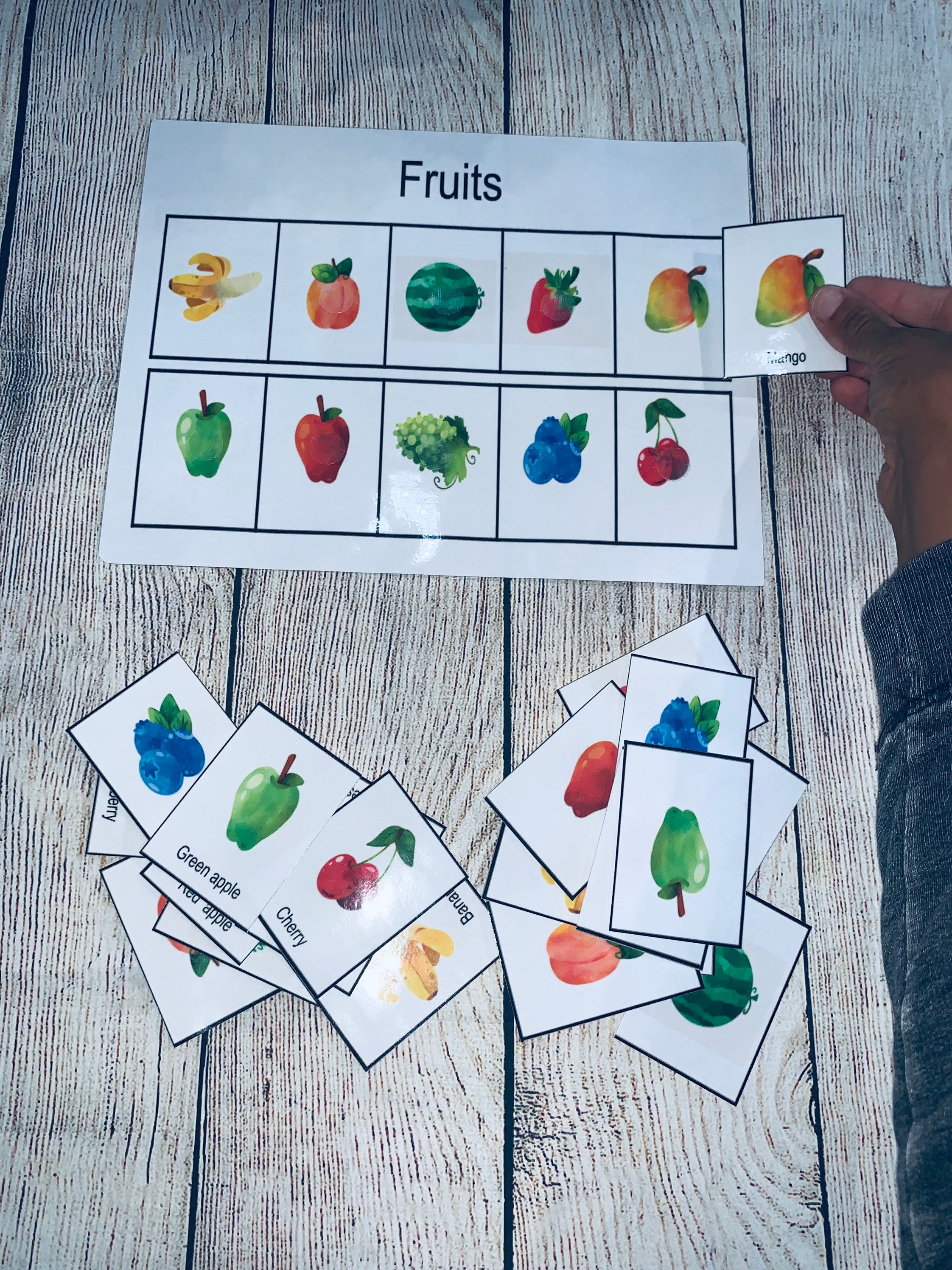 Toddler, Preschool Busy Work, Fruits Sorting Matching , Montessori ...