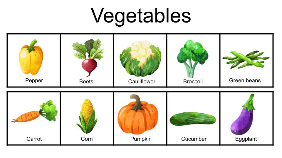 Toddler, Preschool Busy Work, Vegetables and Fruits Sorting Matching ...