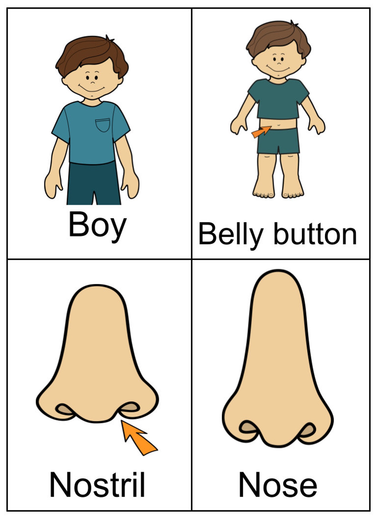 Human Body Part 40 Large Flash Cards, Student Homeschool Activity Kids ...