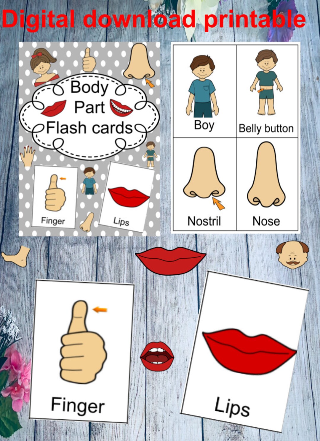 Human Body Part 40 Flash Cards, Student Homeschool Activity Montessori ...