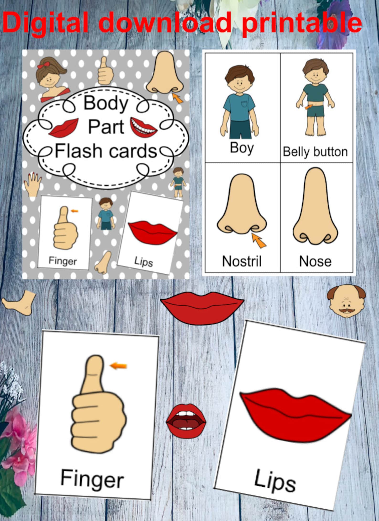 Human Body Part 40 Large Flash Cards, Student Homeschool Activity Kids ...