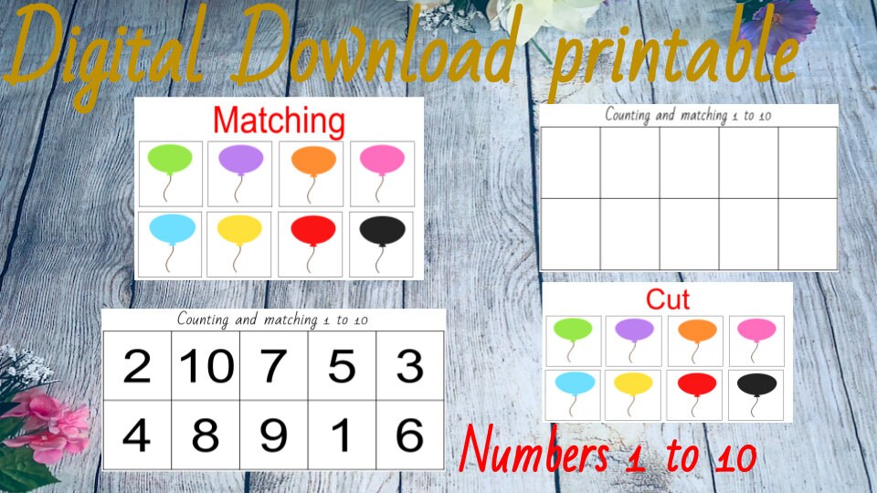 Balloon Matching Interactive Activity, Matching, Sorting, Busy Work ...